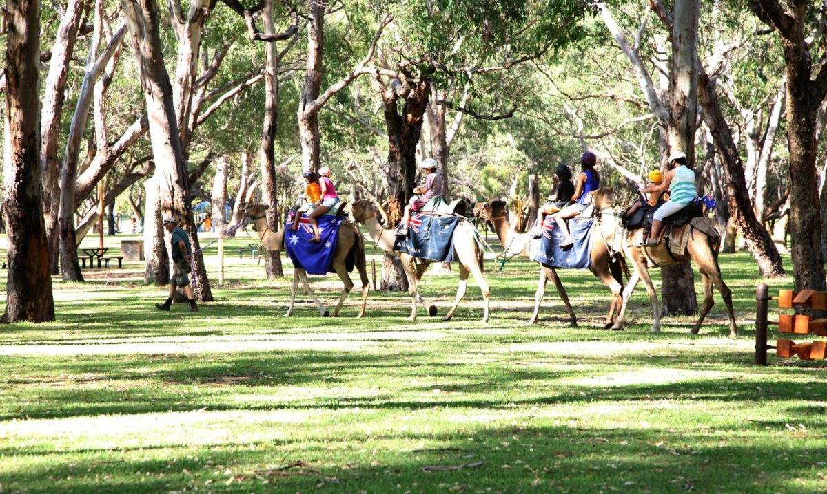 Australia Day Festival Lotterywest australia-day-festival-lotterywest
